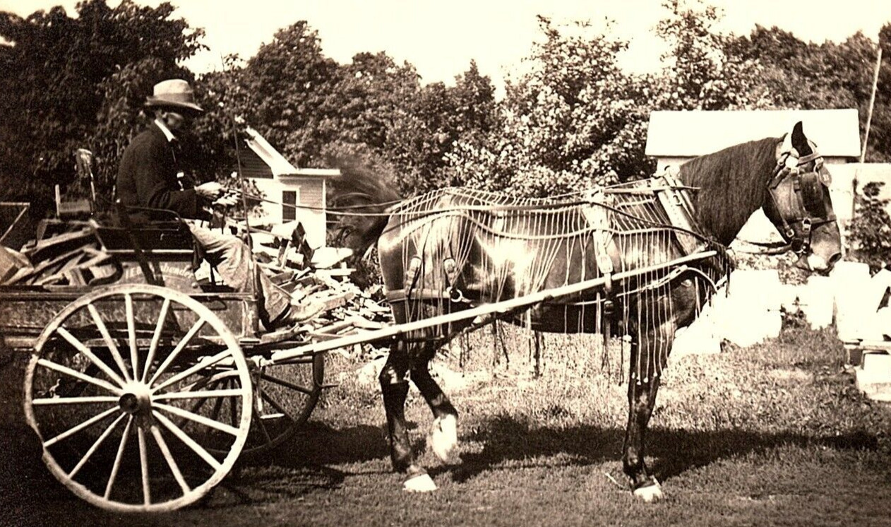 1920 Horse Drawn Carriage With Driver Unusual Harness Cyko Rppc ...
