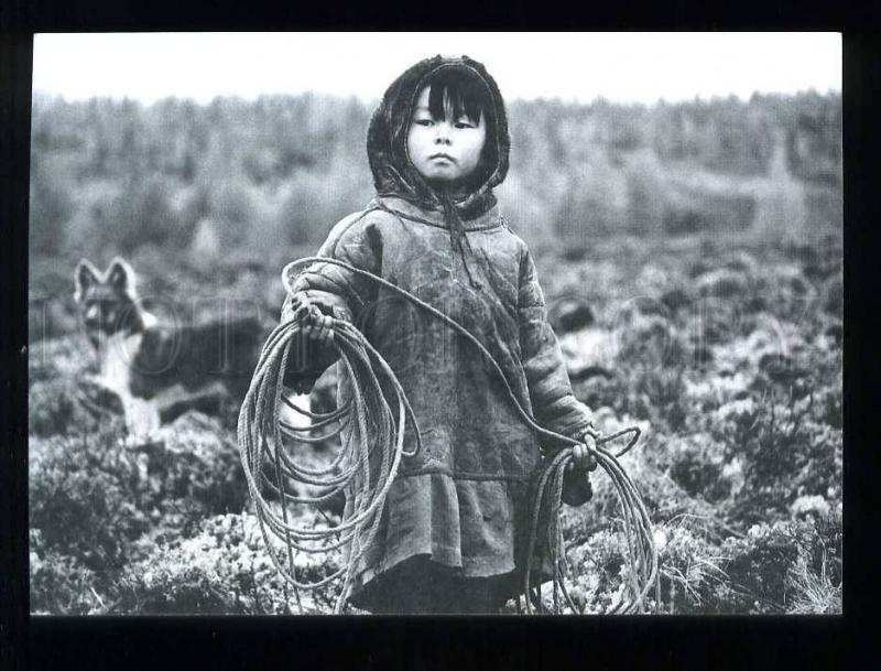 209702 reindeer boy Taimyr Alexander Kuznetsov 1991 Eskimo dog | Europe ...