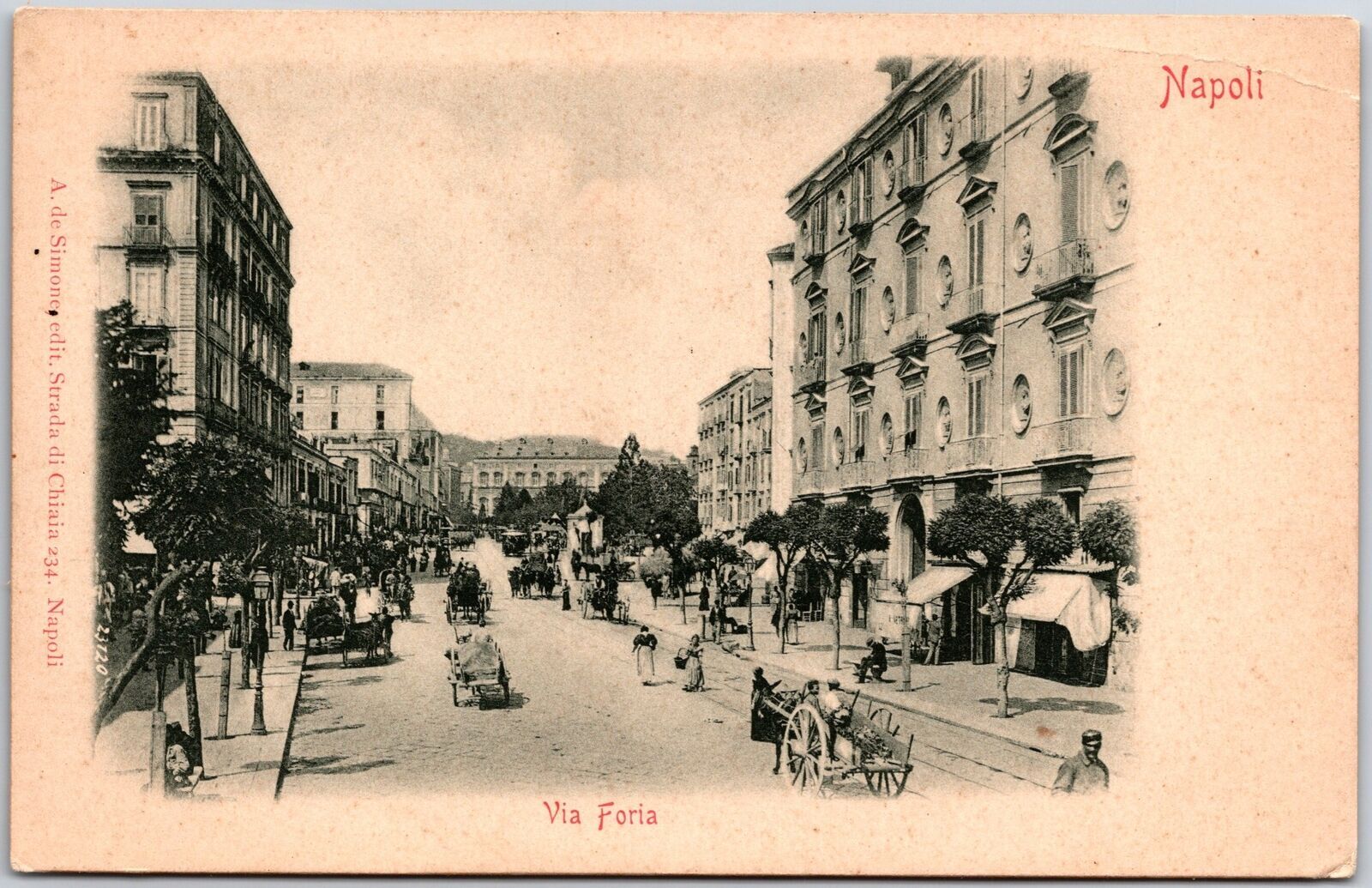 Napoli Via Foria Naples Italy Street View and the Buildings Postcard ...