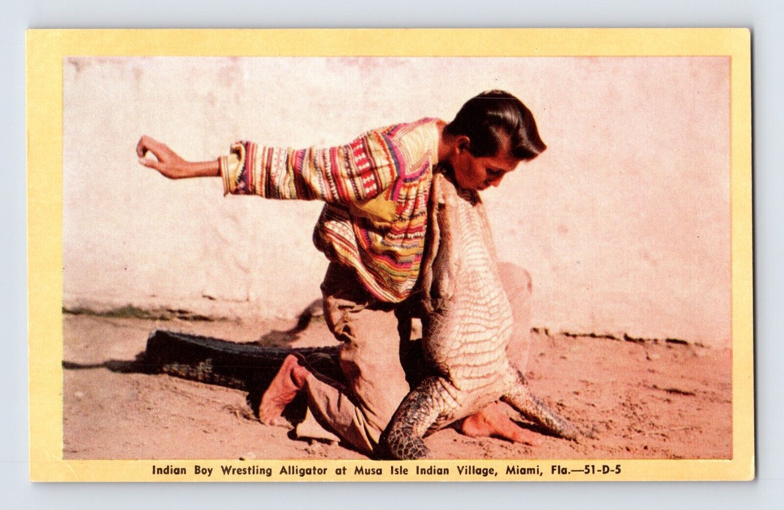 Postcard Florida Miami FL Gator Wrestling Musa Isle Native American ...