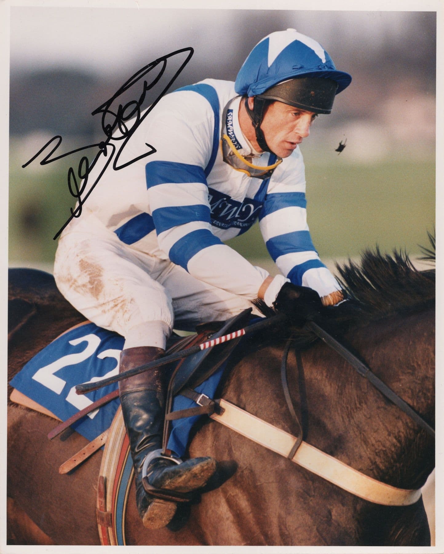 Brendan Powell Grand National Horse Racing Jockey Hand Signd Photo ...