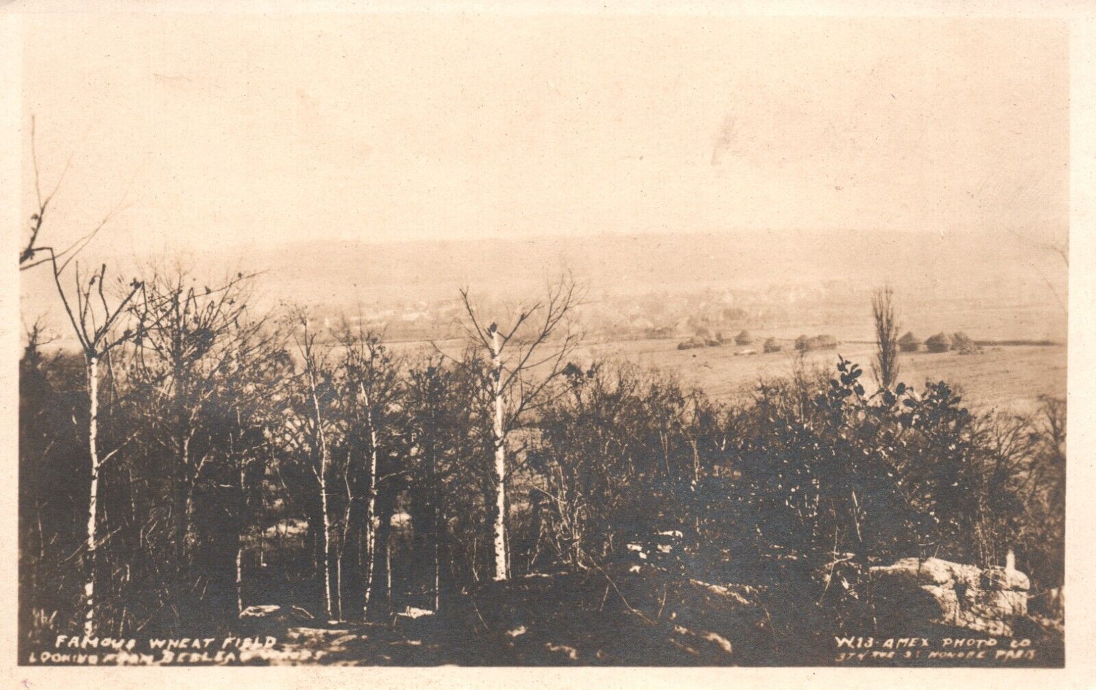 Vintage Postcard Real Photo Famous Wheat Field Looming From Beblea RPPC ...