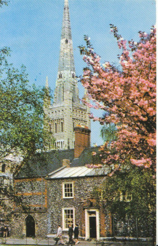 Norfolk Postcard - Norwich Cathedral from The Upper Close - Ref 3662A ...