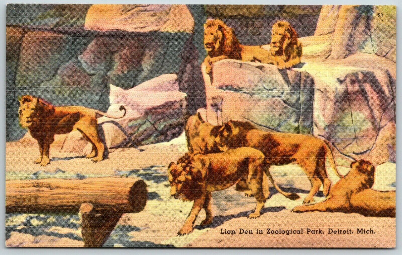 Lion Den in Zoological Park, Detroit, Michigan - Postcard | United ...