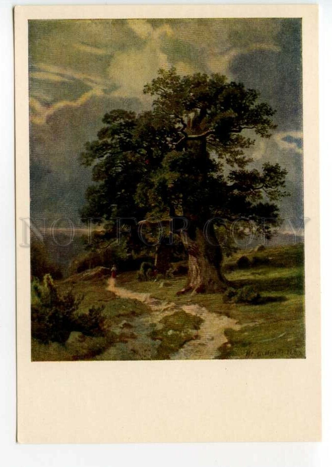 490059 USSR 1958 year artist Shishkin trees circulation 75000 IZOGIZ ...