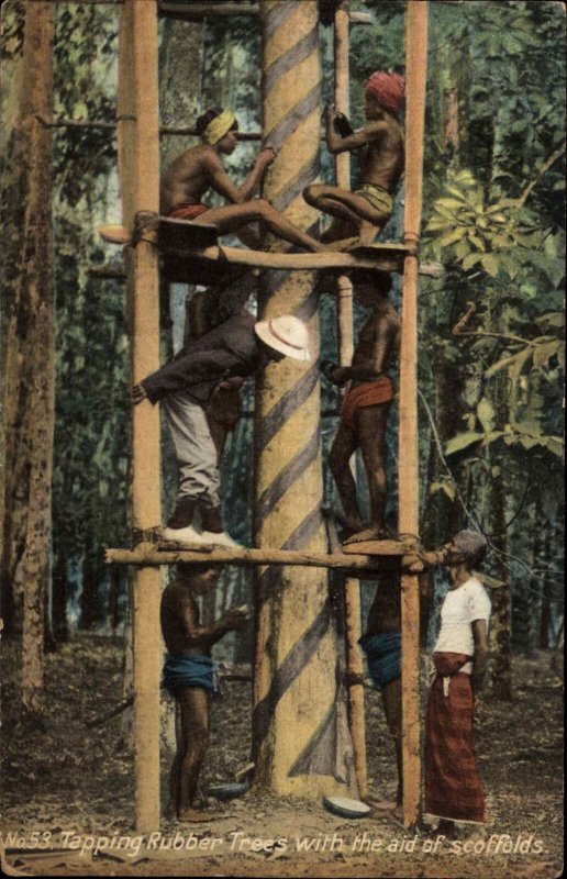 Ceylon Sri Lanka Native Men Tap Rubber Trees Scaffolds c1910 Postcard ...