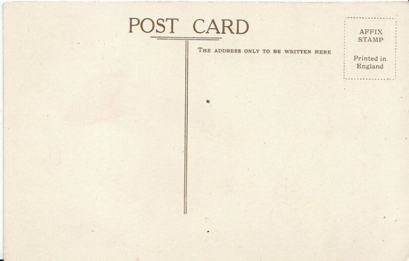 Somerset Postcard - The Caves - Cheddar - Organ Pipes in Solomon's ...