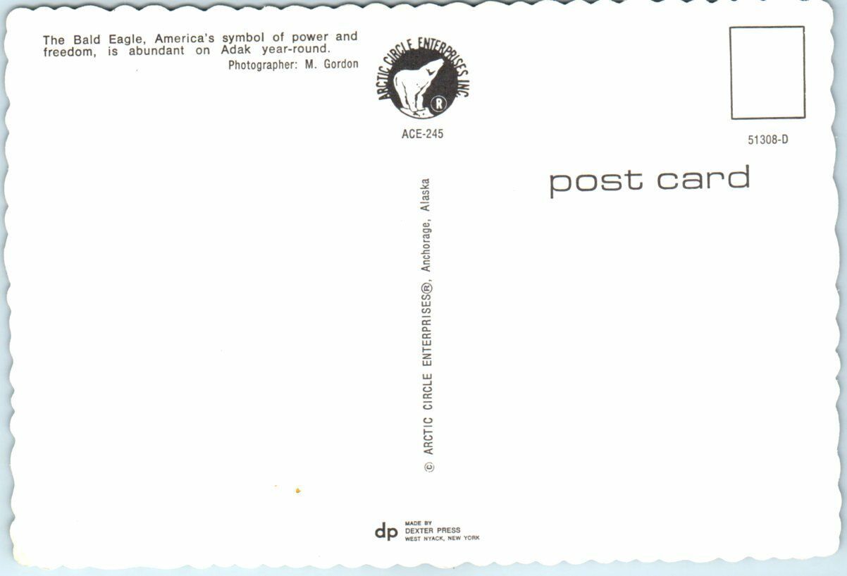 Postcard - The Bald Eagle, America's symbol of power and freedom - Adak ...