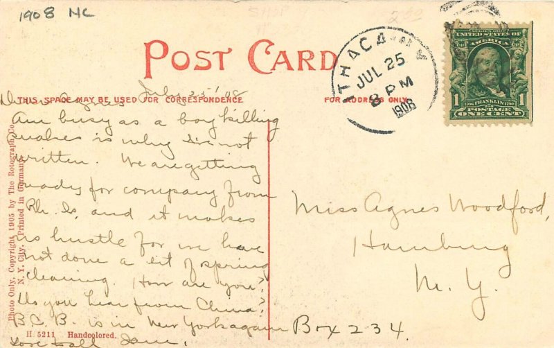 Postcard 1908 Hand Colored New York Ithaca Triphammer Falls Rotograph ...