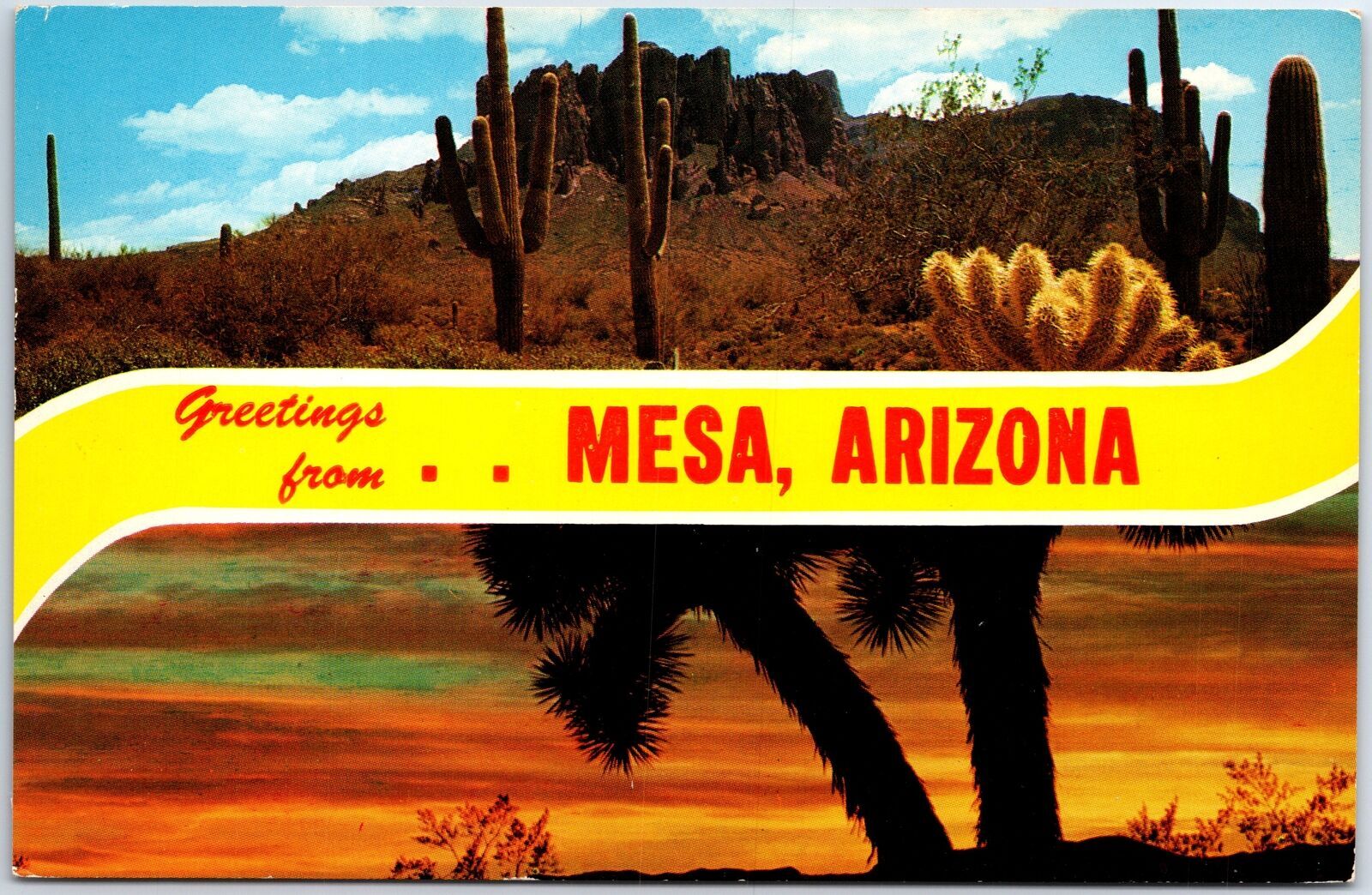 Vintage Postcard Double-View Cactus and Desert Scenes at Mesa Arizona ...