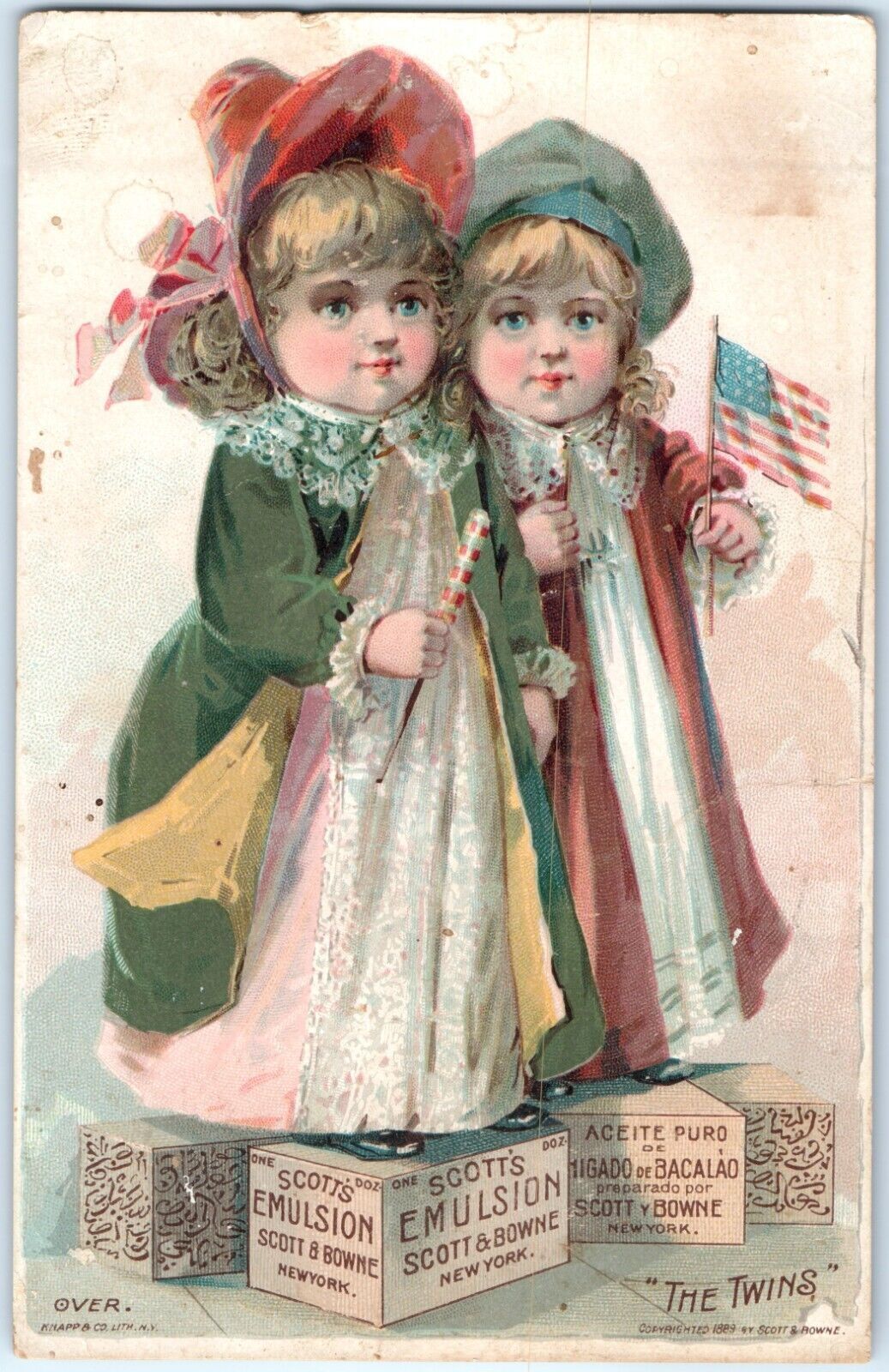 1889 Adorable Twin Girls Victorian Cute Dress American Flag Scotts ...