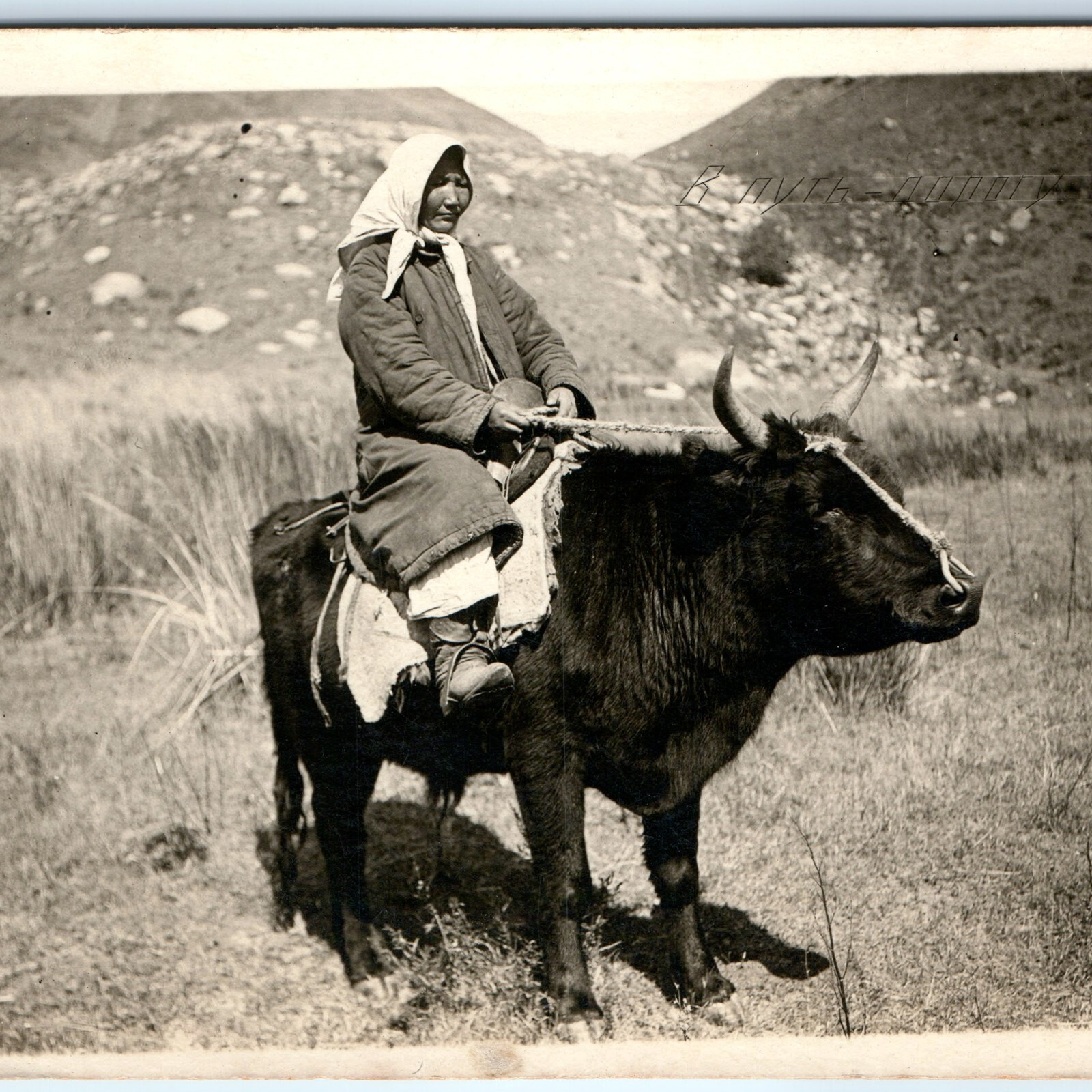 c1930s Croatia Balkans RPPC Elderly Woman Riding Cattle Yak Rural Hat ...