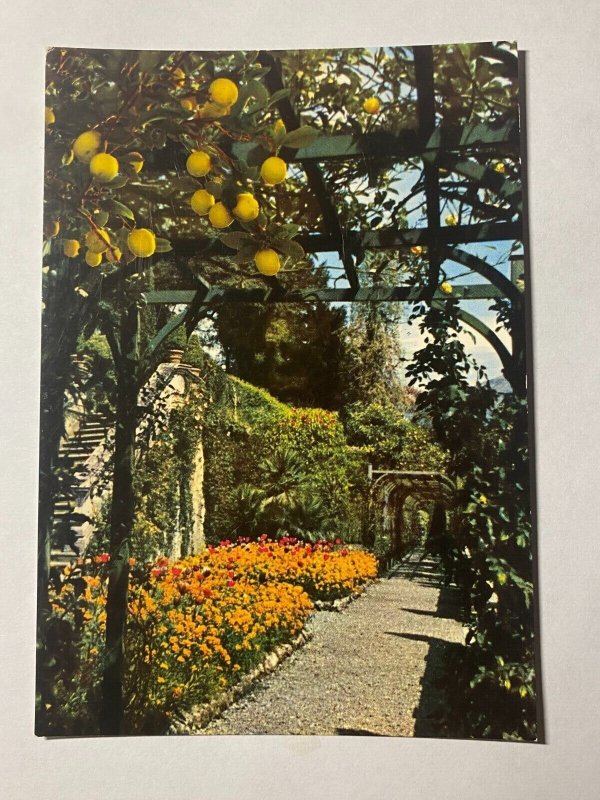 Unused Vintage Italy Postcard - Villa Carlotta Lake Como Lemon Tree ...