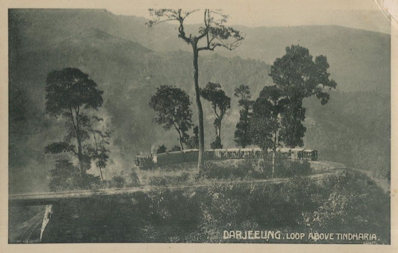 Darjeeling Loop Above Tindharia India Real Photo Old Postcard | Asia ...