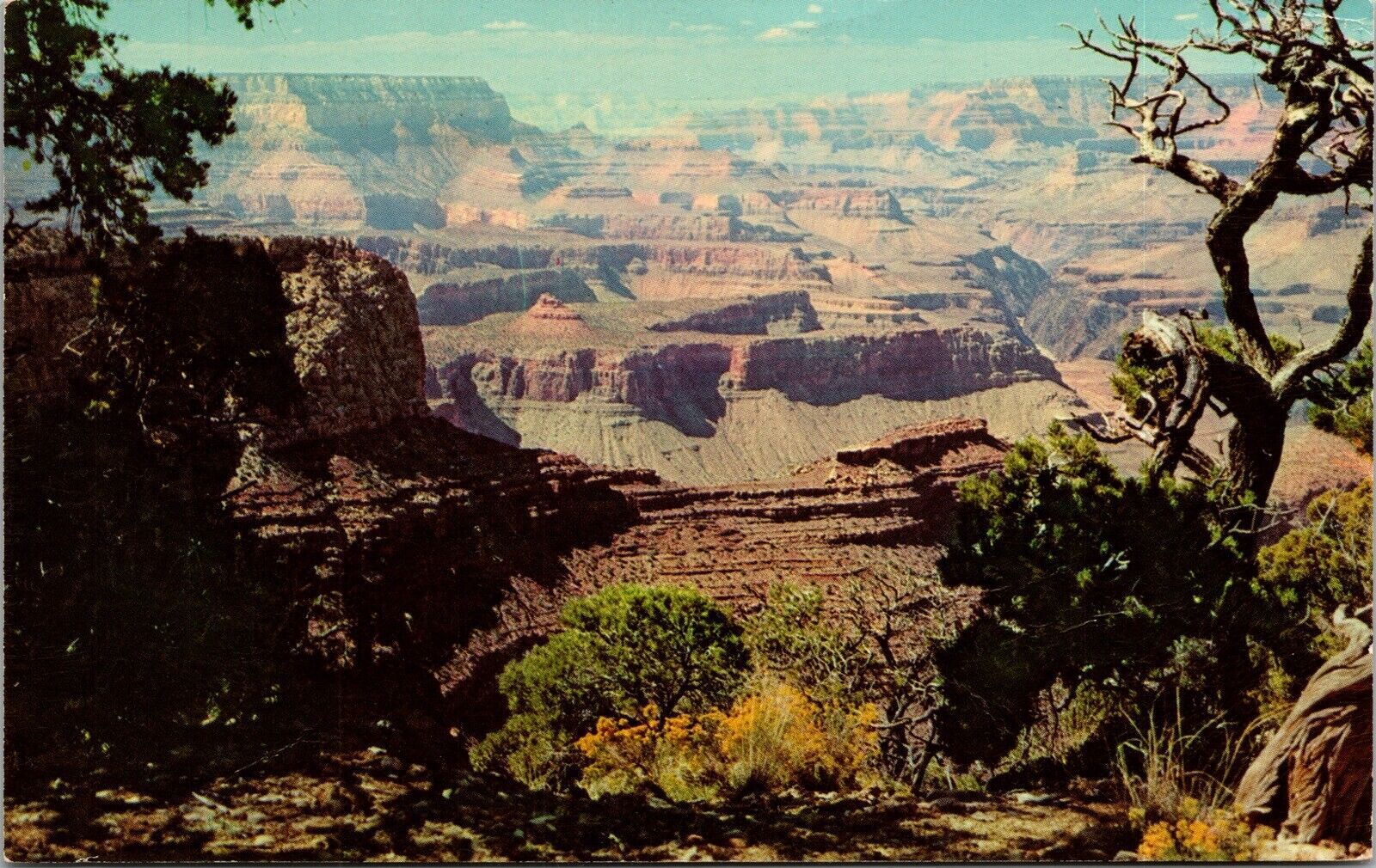 Grand Canyon National Park Moran Point View Greenery Postcard Unused ...