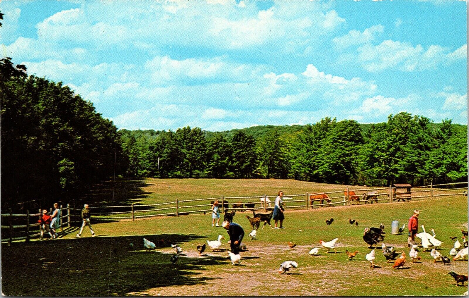 Friendly Farm Dublin New Hampshire NH Postcard VTG UNP Koppel Vintage ...