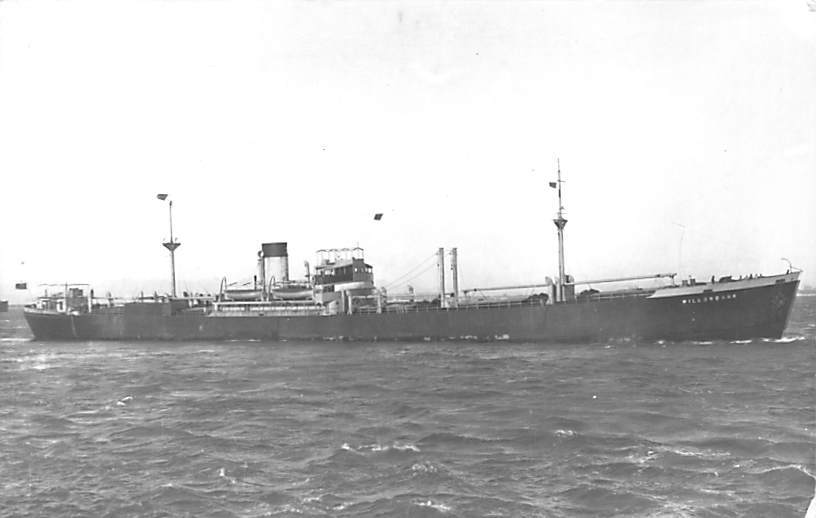 MV Willowbank British Bank Line Ship Typing on back | Topics - Other ...