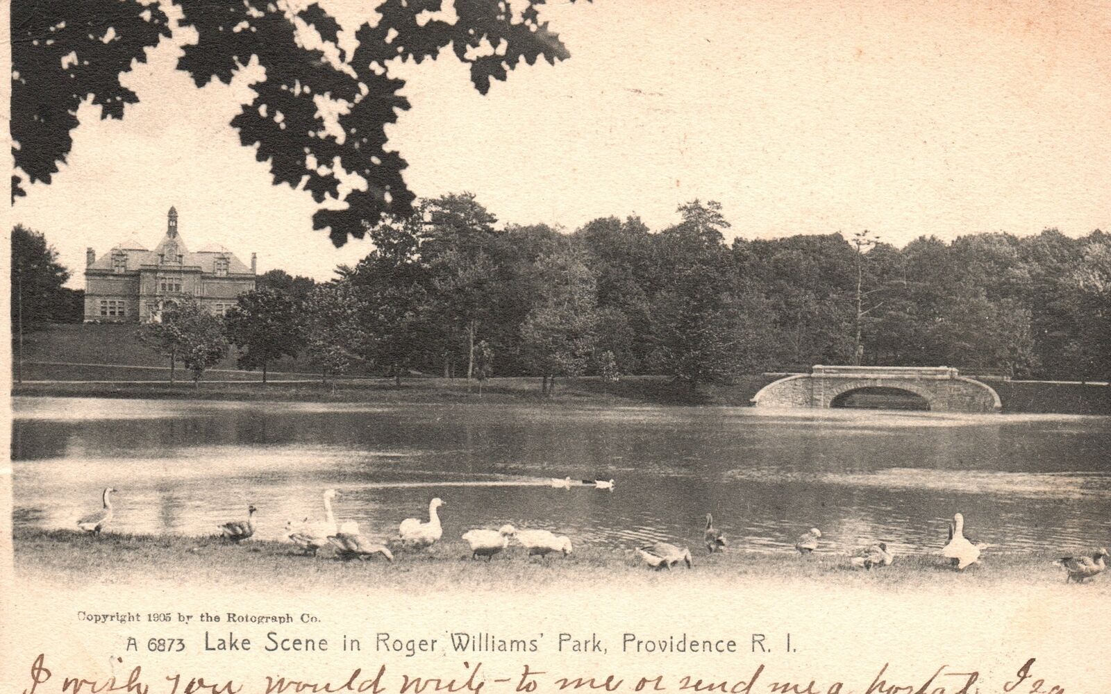 Vintage Postcard 1906 Lake Scene In Roger Williams Park Providence ...