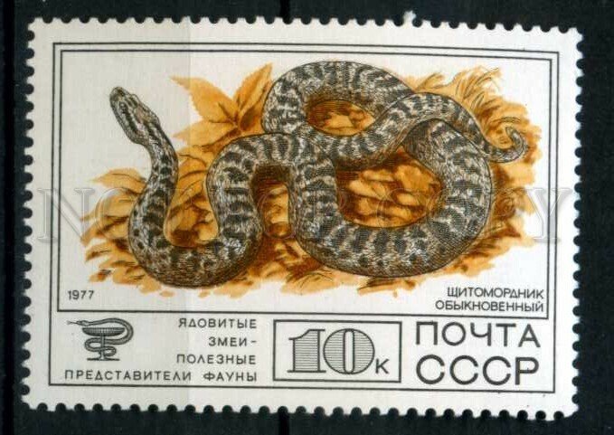 507826 USSR 1977 year Fauna Common snake muzzle stamp | Other ...