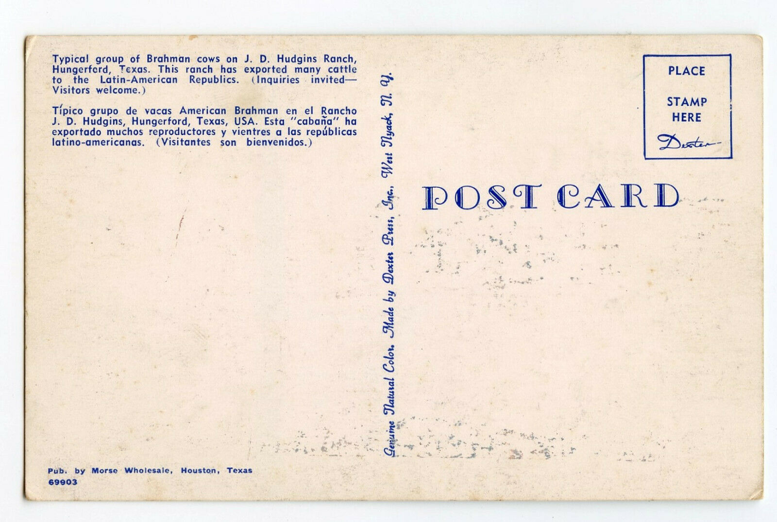 Brahman Cows J. D. Hudgins Ranch Hungerford Texas Vintage Standard View ...