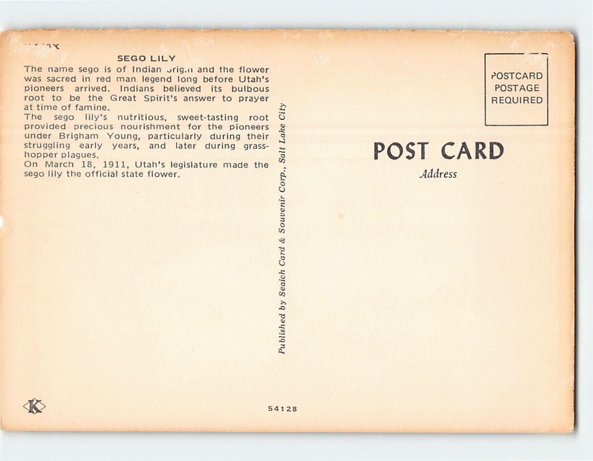 Postcard The Sego Lily, "Utah's State Flower", Utah | United States ...