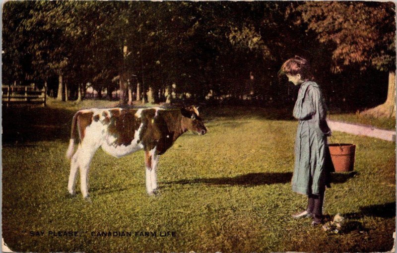 Cows Say Please Canadian Farm Life 1908 | Topics - Animals - Cows ...