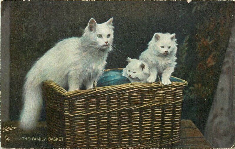 Tuck Happy Catland Postcard 4722 White Cats Mother & Kittens in Family ...