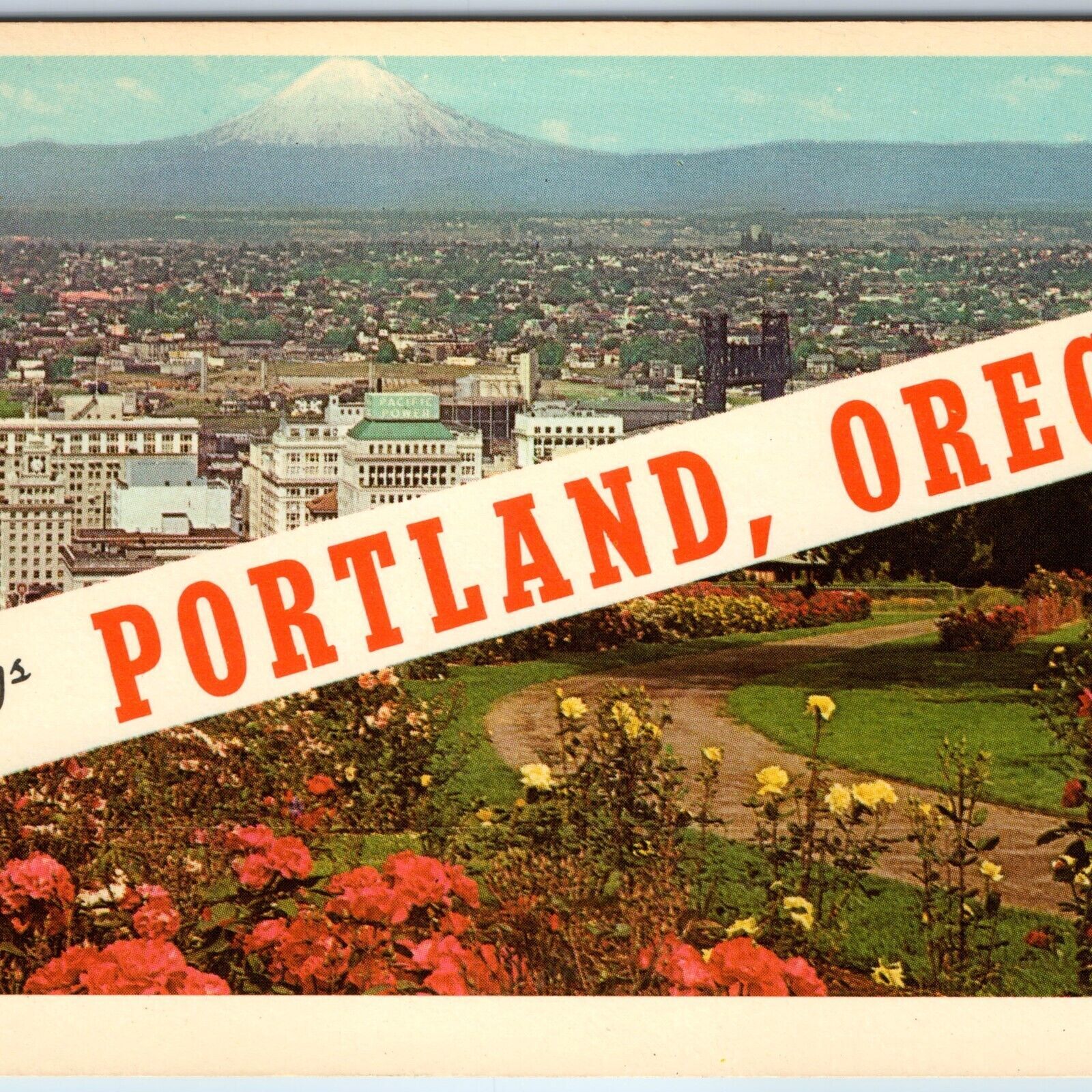 1959 Portland OR Greetings from World Port City Roses Birds Eye ...