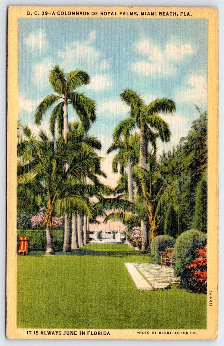 Colonnade of Royal Palms Miami Florida Vintage Curt Teich Linen ...