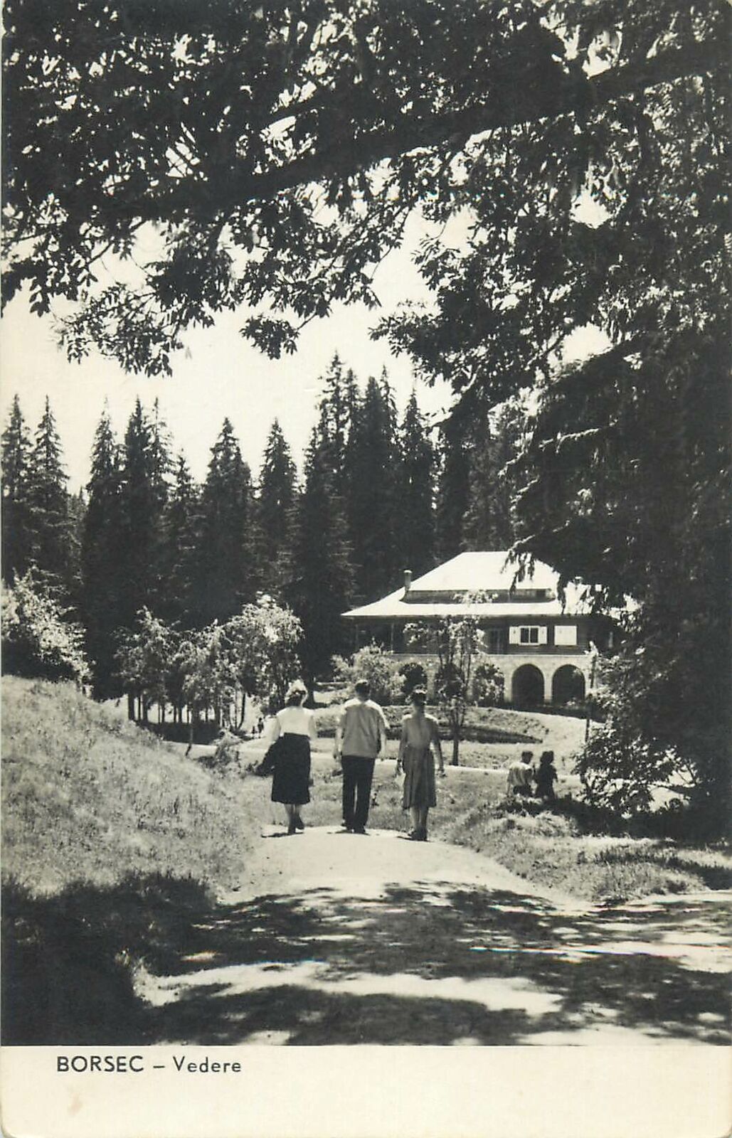 Romania carte postala vedere din statiunea Borsec | Europe - East ...