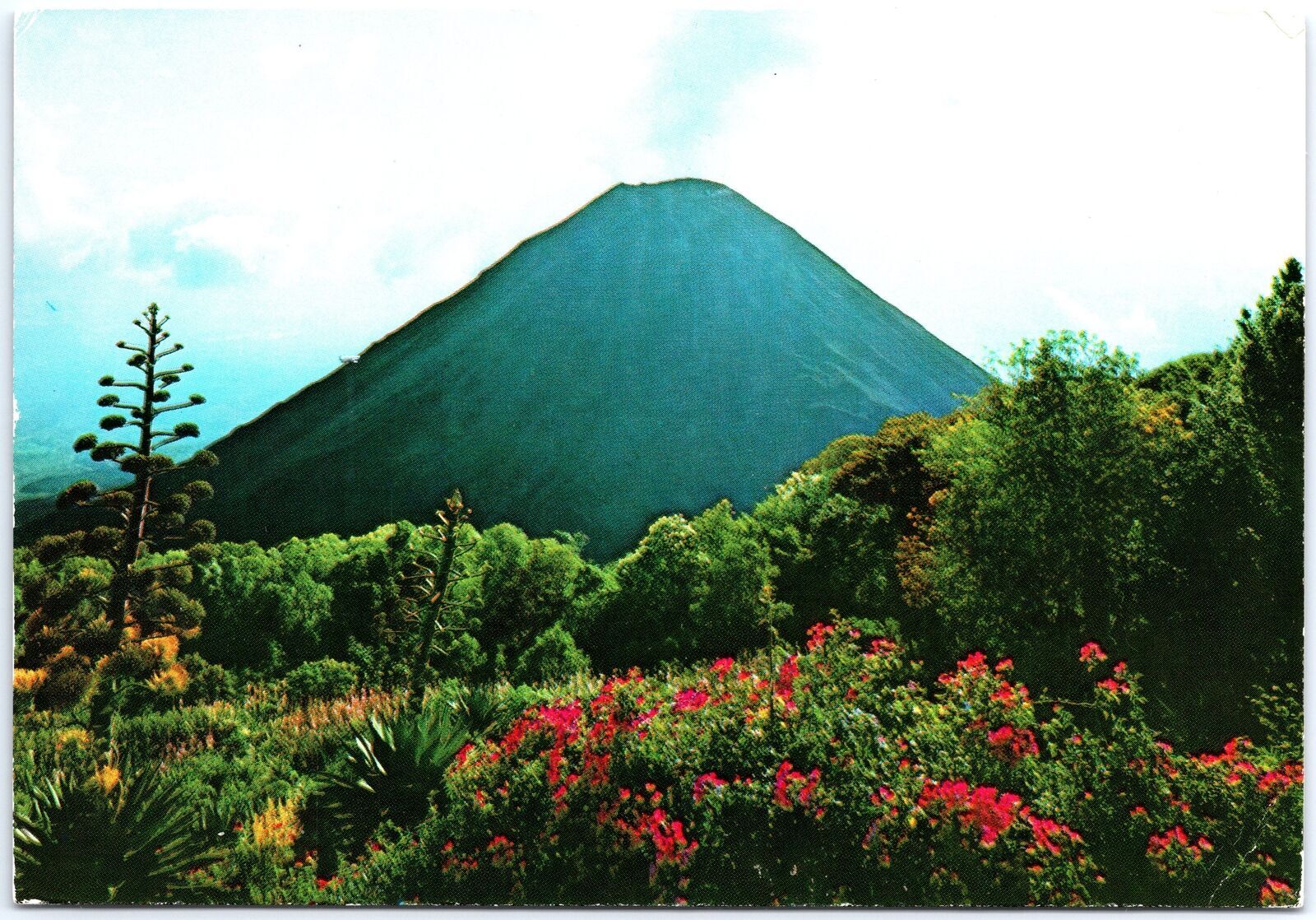 Vintage Postcard Continental Size the Izalco Volcano in EL Salvador ...