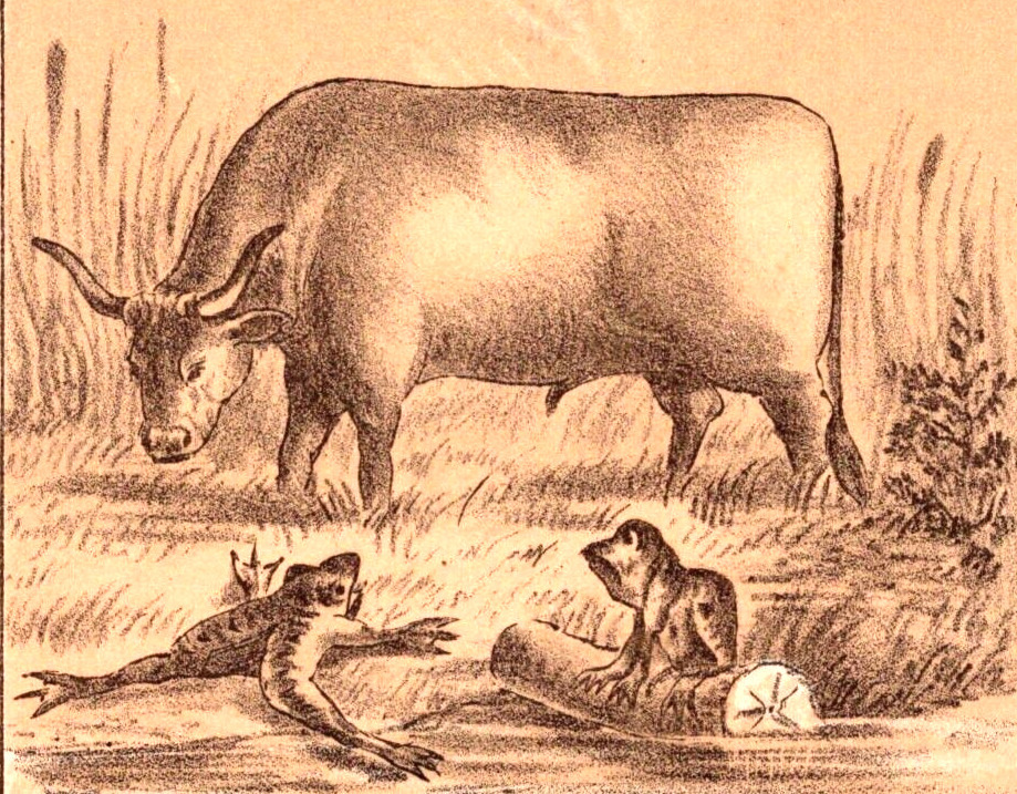 The Frog & The Ox Aesops Fable 1800's Portland ME Fairbank Meat Food ...