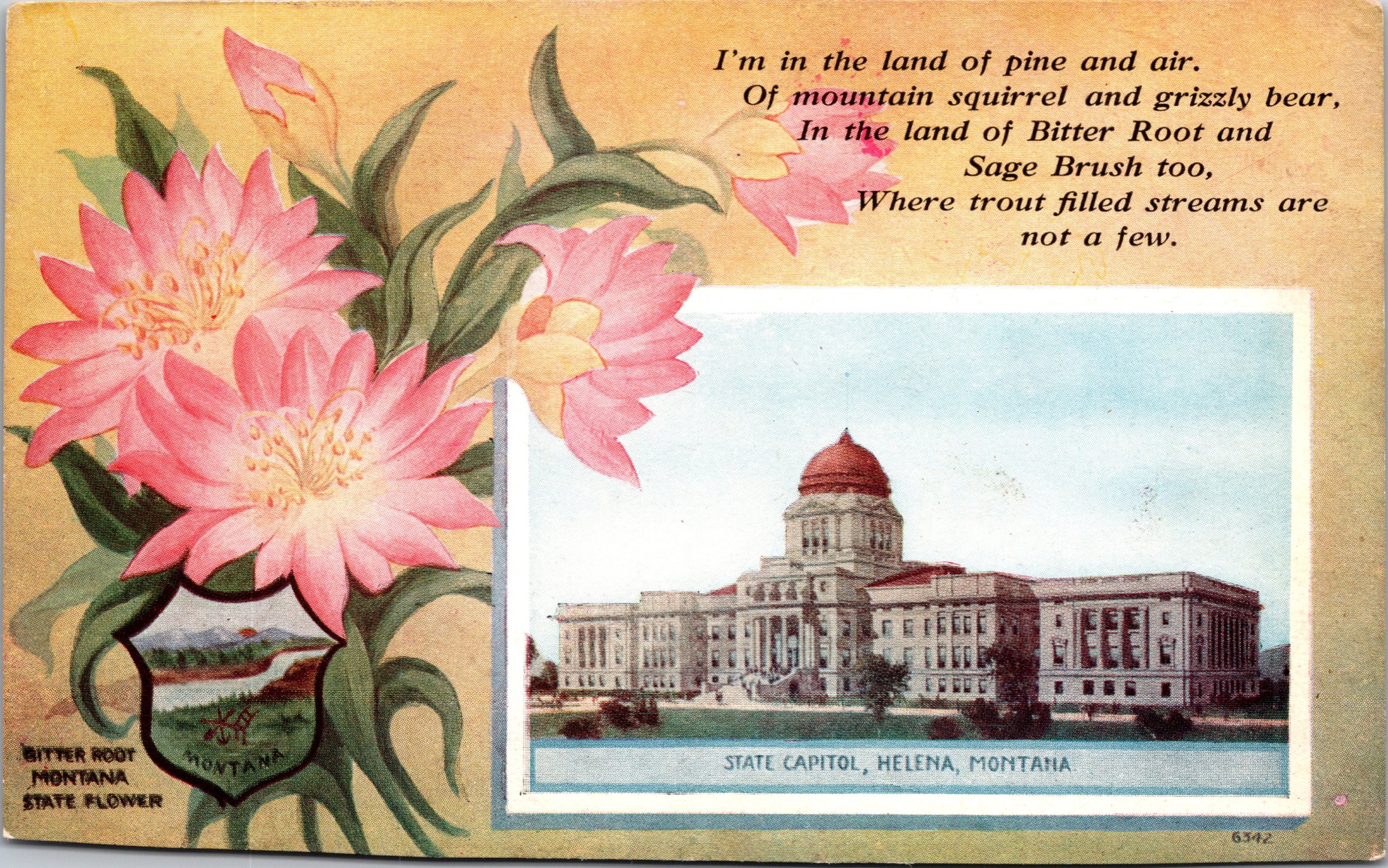 Helena MT State Capitol Flower Poem Postcard unused 1900s/10s | United ...