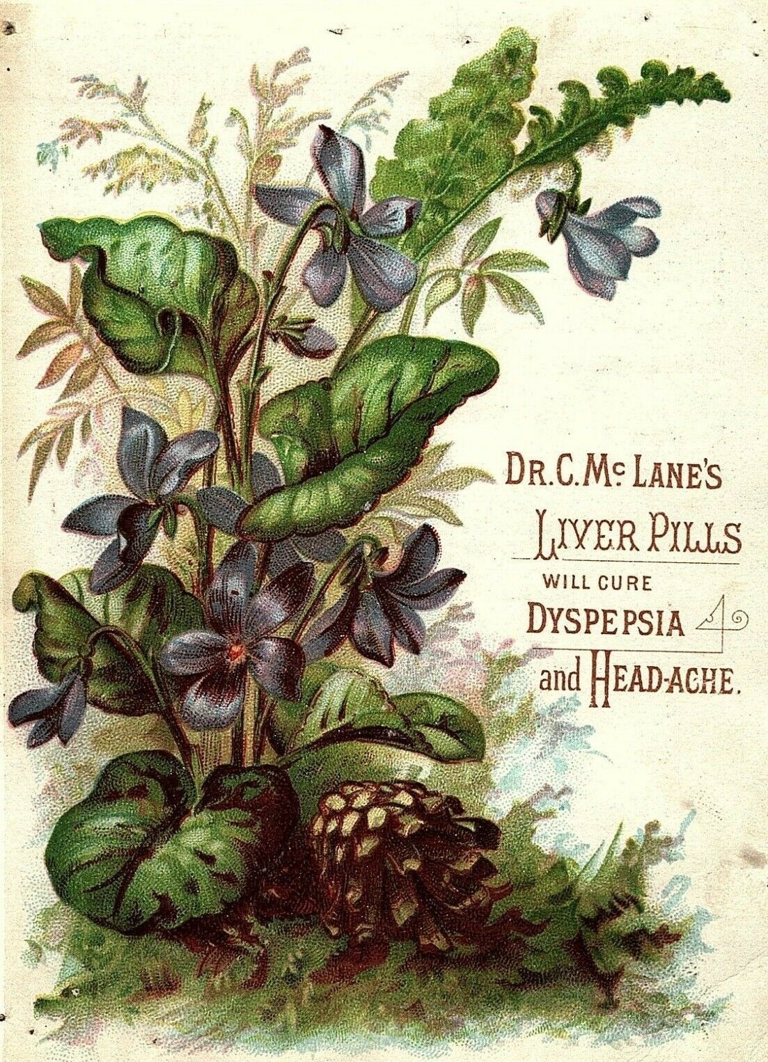 1880's John F. Fouch Williams, CA Quack Dr. M'Lanes Pill Victorian ...