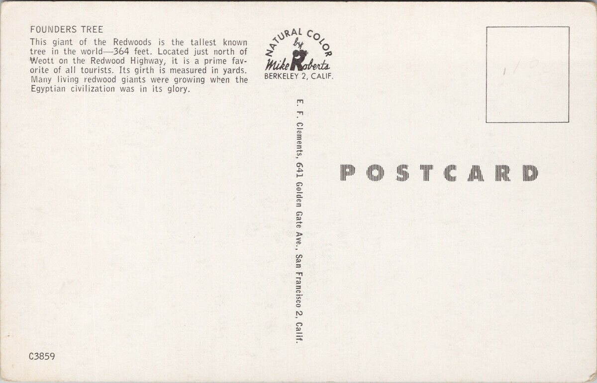 Redwoods World's Tallest Tree 364 Feet Founders Tree CA California ...