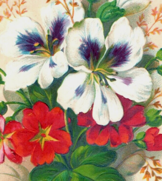 1880s Embossed Victorian Happy Wishes Card Flowers F127 | Ephemera ...