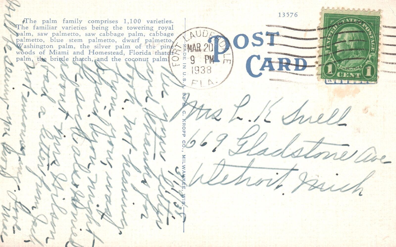 Stately Royal Palms Varieties Saw Palmetto Dwarf Florida Vintage ...