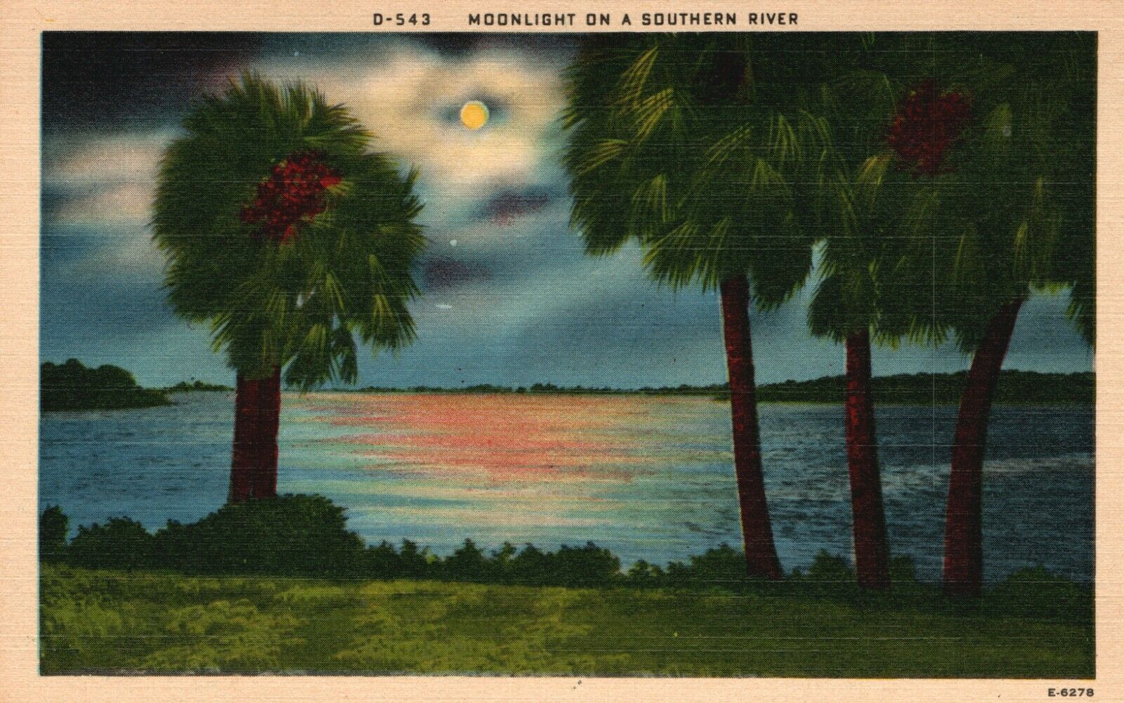 Vintage Postcard 1930's Moonlight on a Southern River Palm Trees and ...