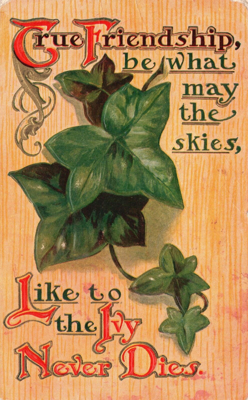 Vintage Postcard 1910's True Friendship Like To Ivy Never Dies ...