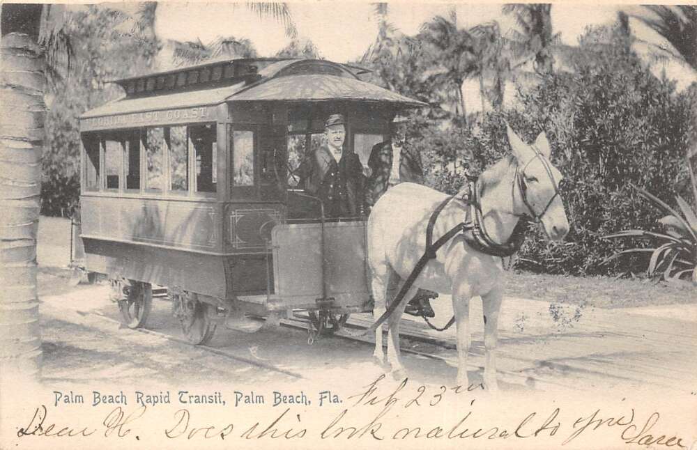 Palm Beach Florida Rapid Transit Horse Trolley Car Vintage Postcard ...