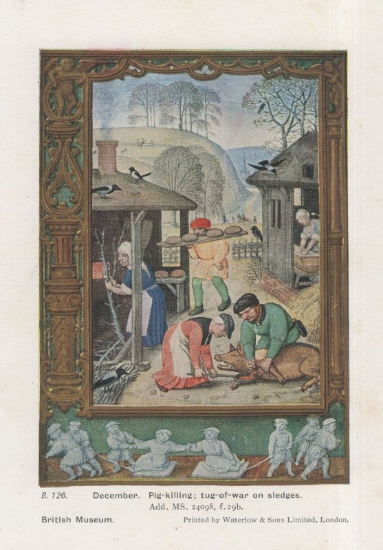 Medieval Game Of Pig Killing Tug Of War Middle Ages Old PB Postcard ...