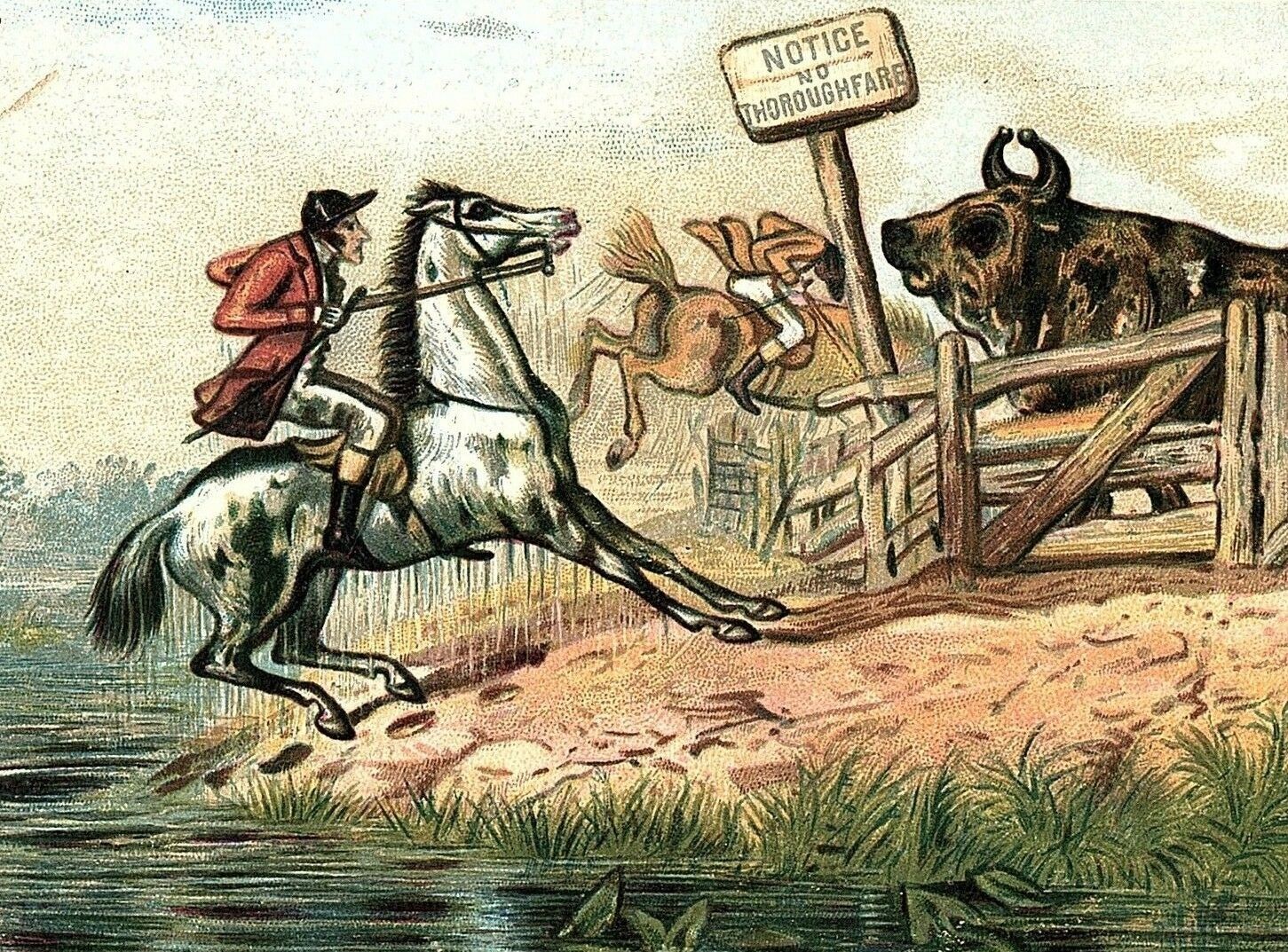 1880's Oddball Steeple Chase Horse Riders Bull Comical No Thorughfare ...