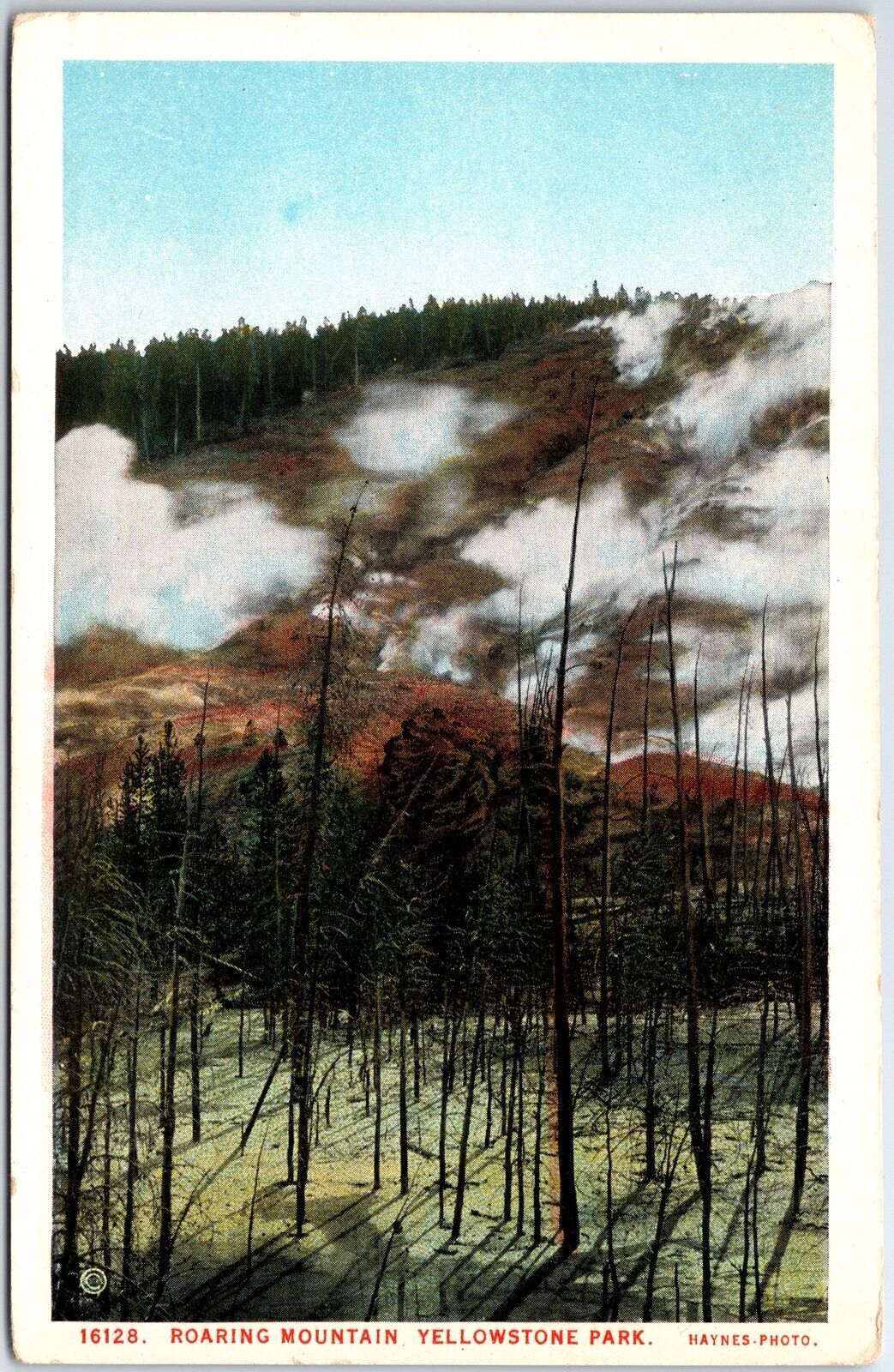 Vintage Postcard Roaring Mountain at Yellowstone National Park C. 1920s ...