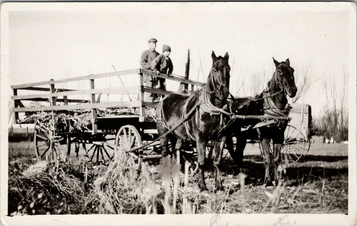 Man & Child Horses Wagon Farming Agriculture Real Photo Postcard F77 ...