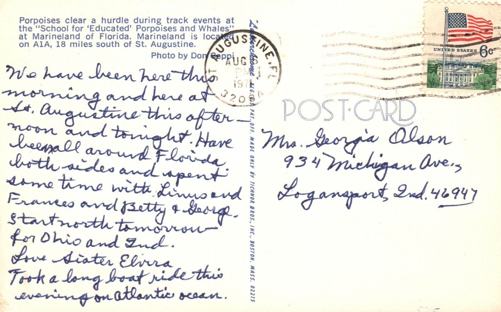 Vintage Postcard 1971 Porpoises Clear A Hurdle During Track Events ...