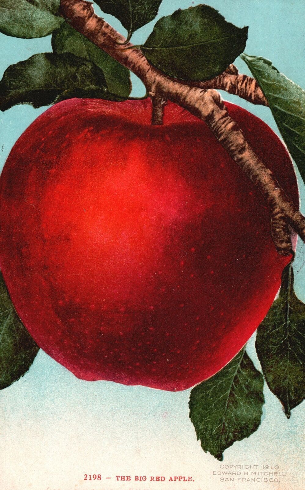 Vintage Postcard 1910's The Big Red Apple San Francisco California CA ...