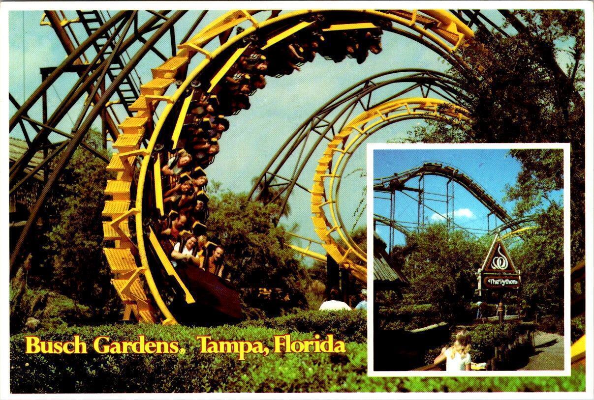 Tampa FL Florida BUSCH GARDENS AMUSEMENT PARK Python Roller Coaster 4X6 ...