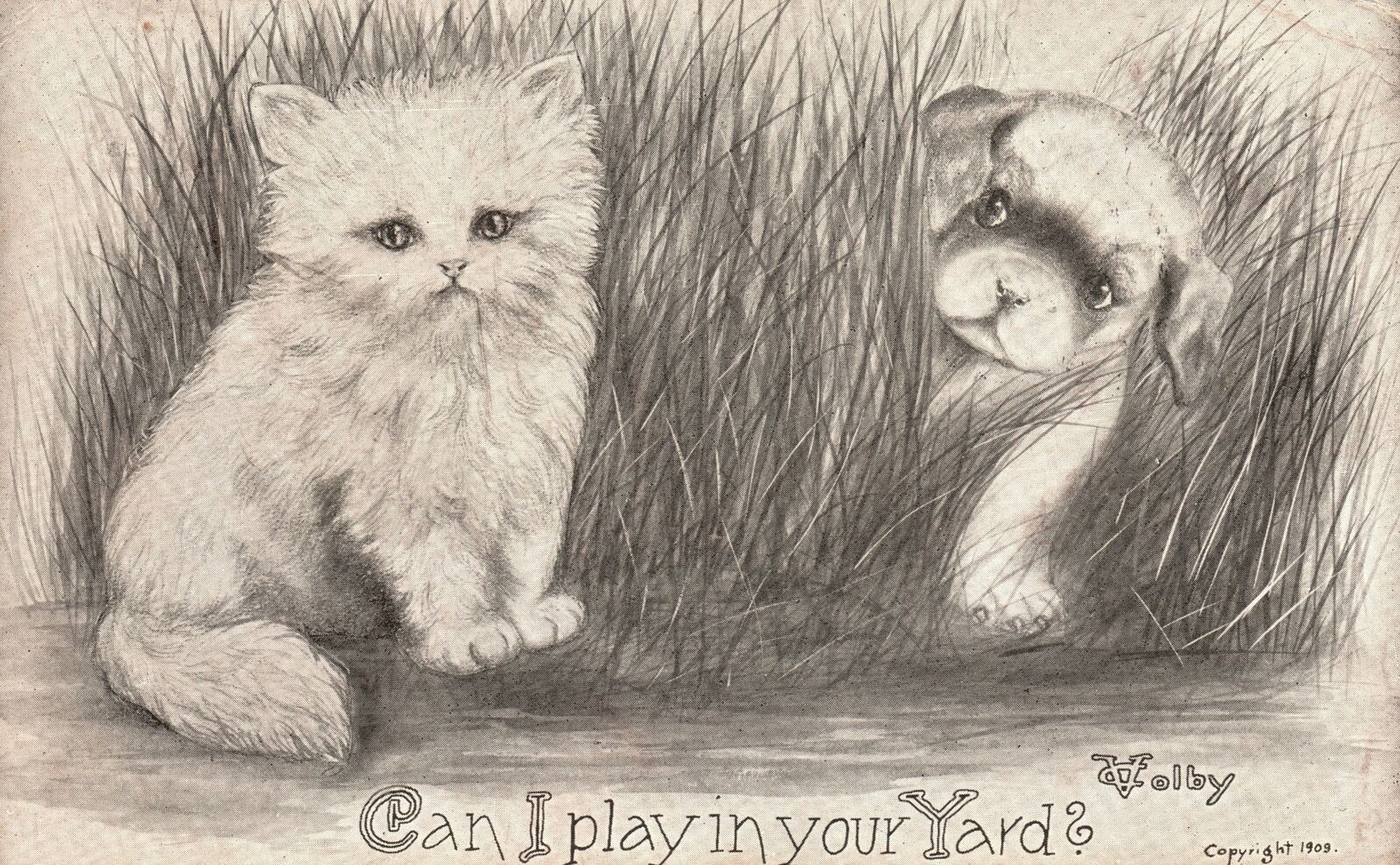 Vintage Postcard 1910 Can I Play In Your Yard Dog Puppy Hiding Cat ...