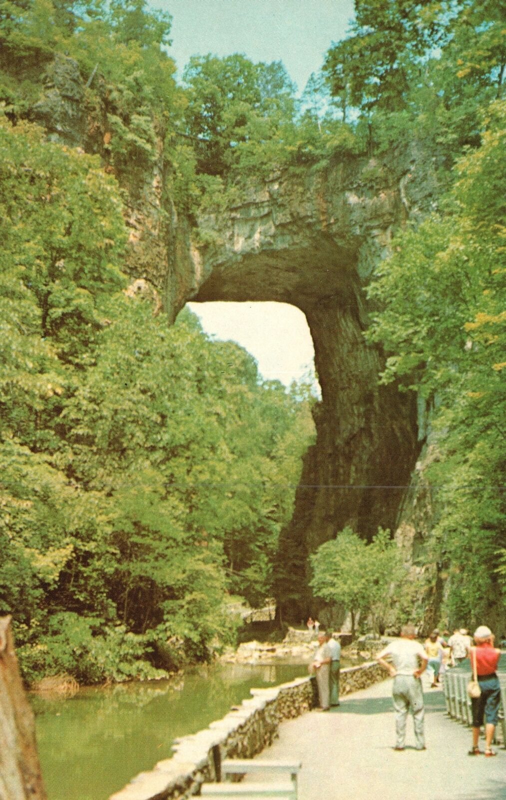 Vintage Postcard Natural Bridge One Of The Seven Natural Wonders ...