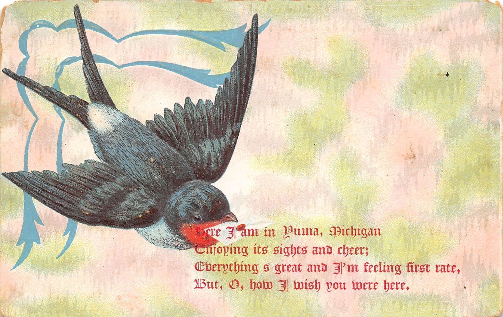 Yuma Mesick MI Barn Swallow Delivers Poem of Cheer~How I Wish You Were ...